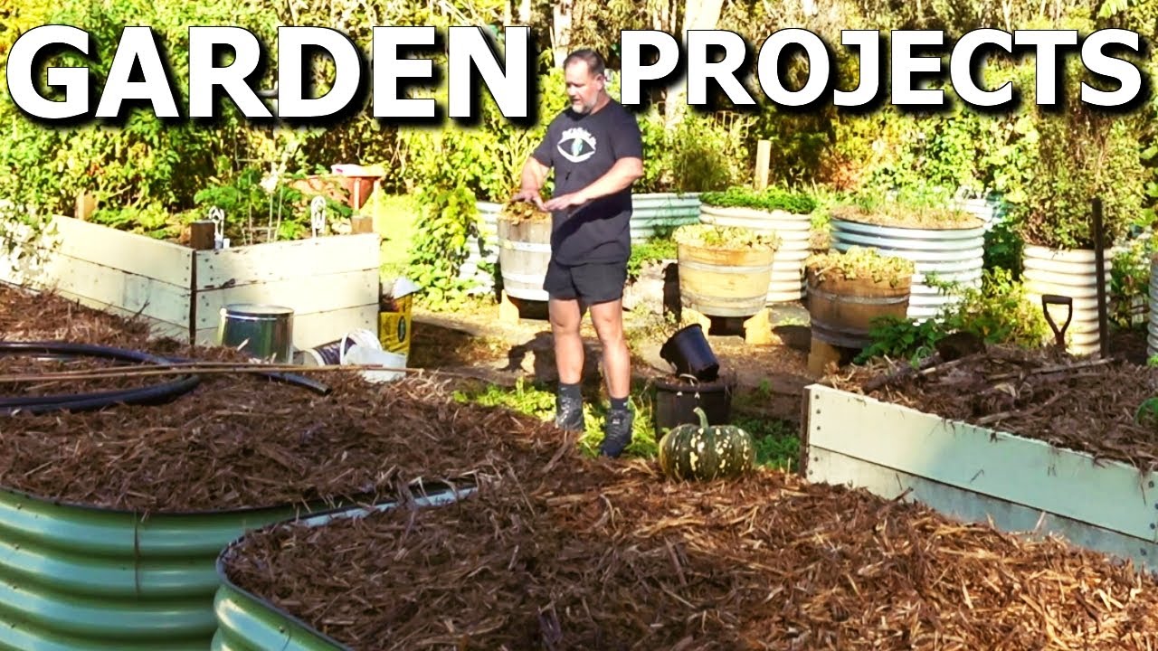 My top garden projects this growing season