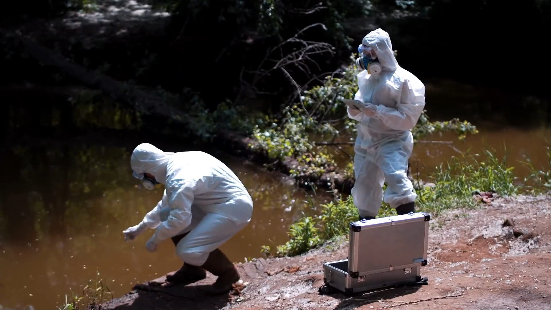 Silent Water Wars: The Most Destructive Invasive Aquatic Species on Earth