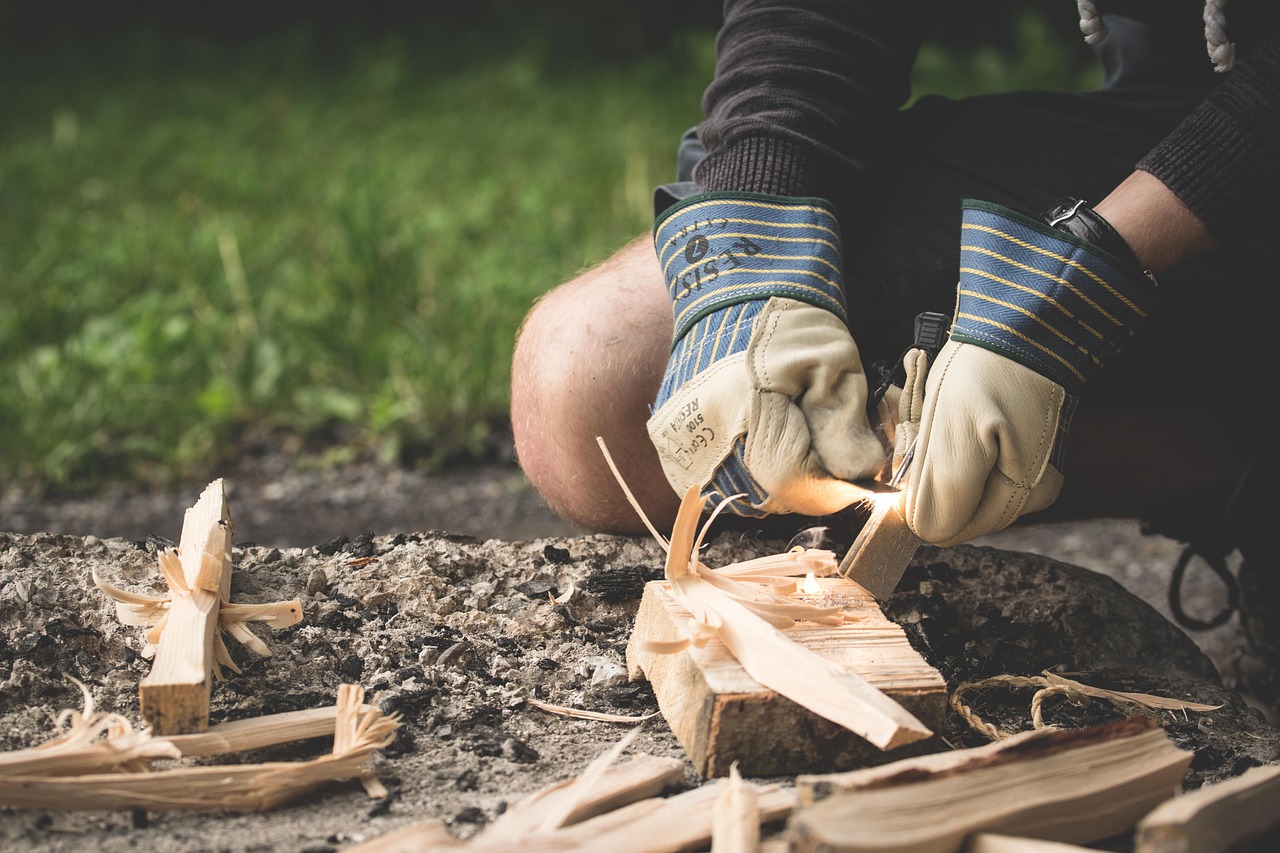 10 unexpected survival uses for pine cones in northern forests