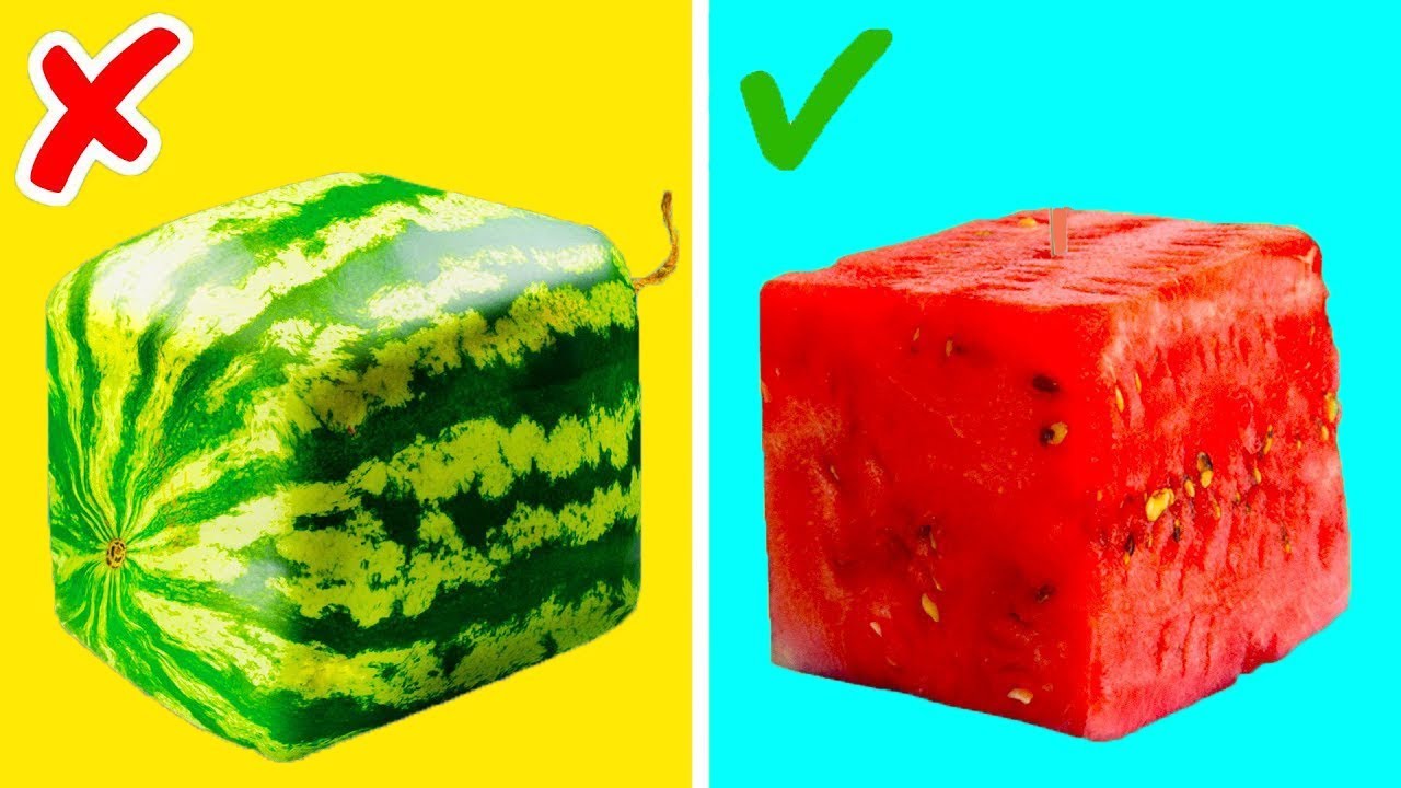 15 smart ideas - watermelon hacks!