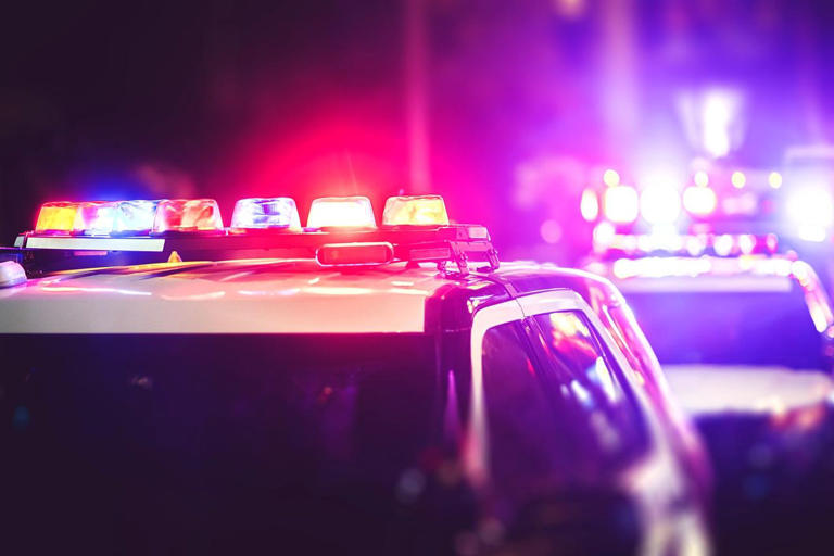 School bus driver charged with kidnapping children after allegedly ...