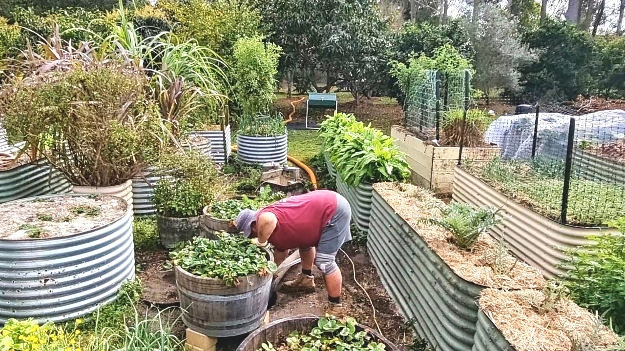 How we recycle all our house wastewater into the garden