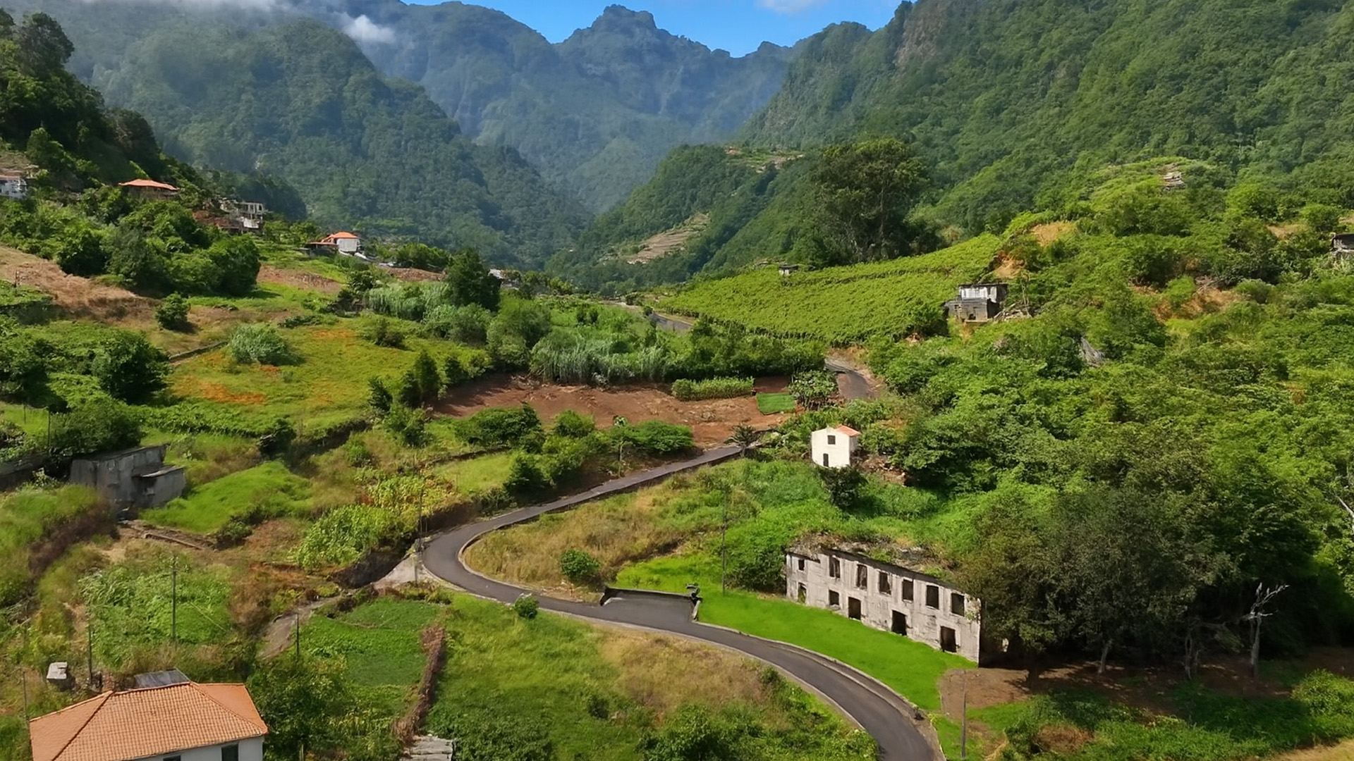 Strade tortuose di Madeira: la vita tra le montagne verdi