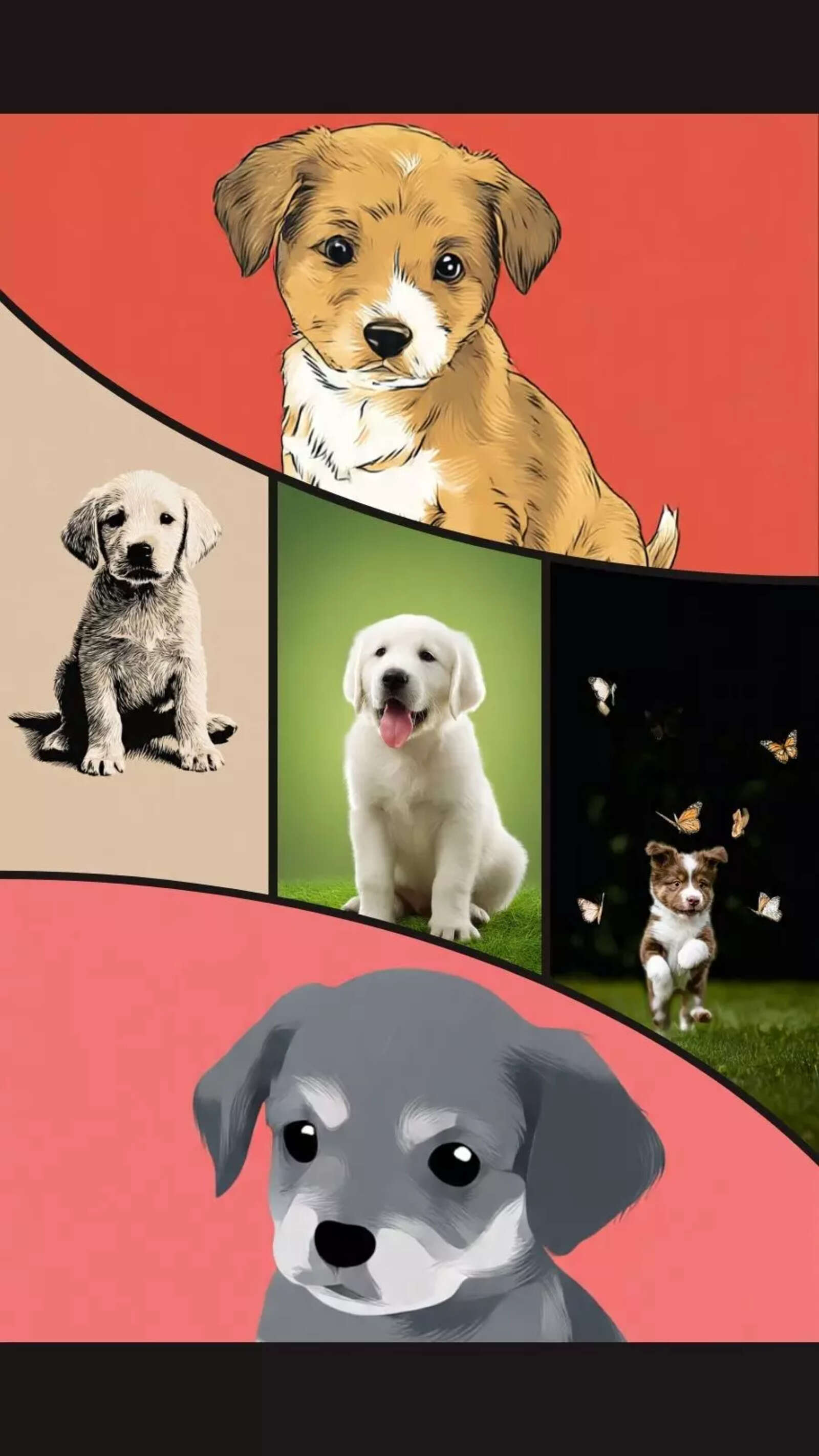 How To Train Your Puppy To Obey Basic Commands And Build Good Habits