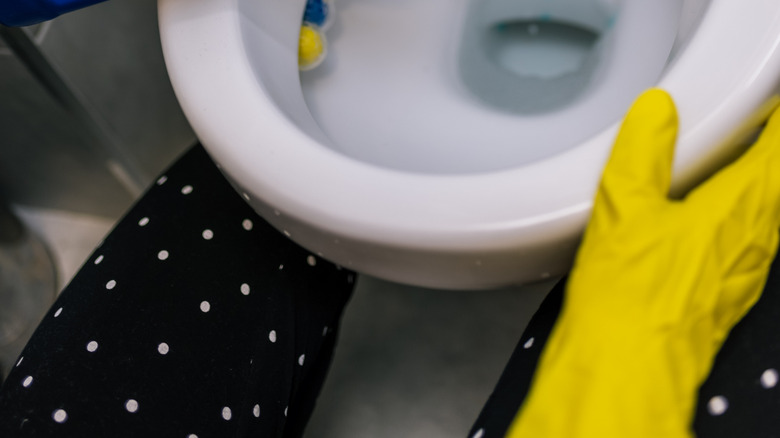 7 Little-Known Uses For Toilet Bowl Cleaner Around Your Home