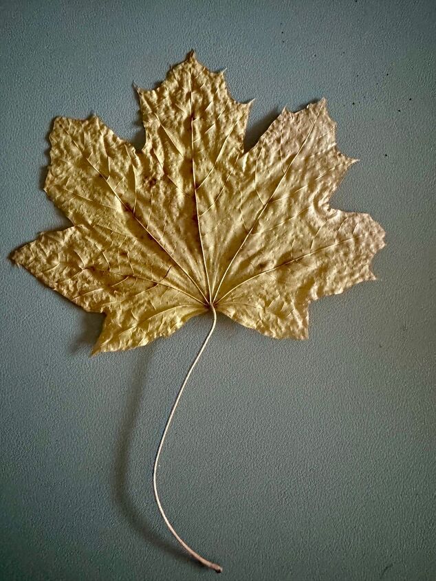 DIY Leaf Art: Turn a Fallen Leaf Into a Fox Face!