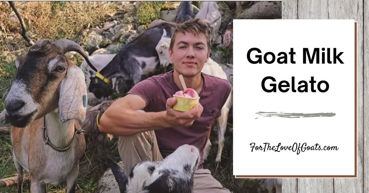Goat Milk Ice Cream and Gelato: Turning Milk into Sweet Profits