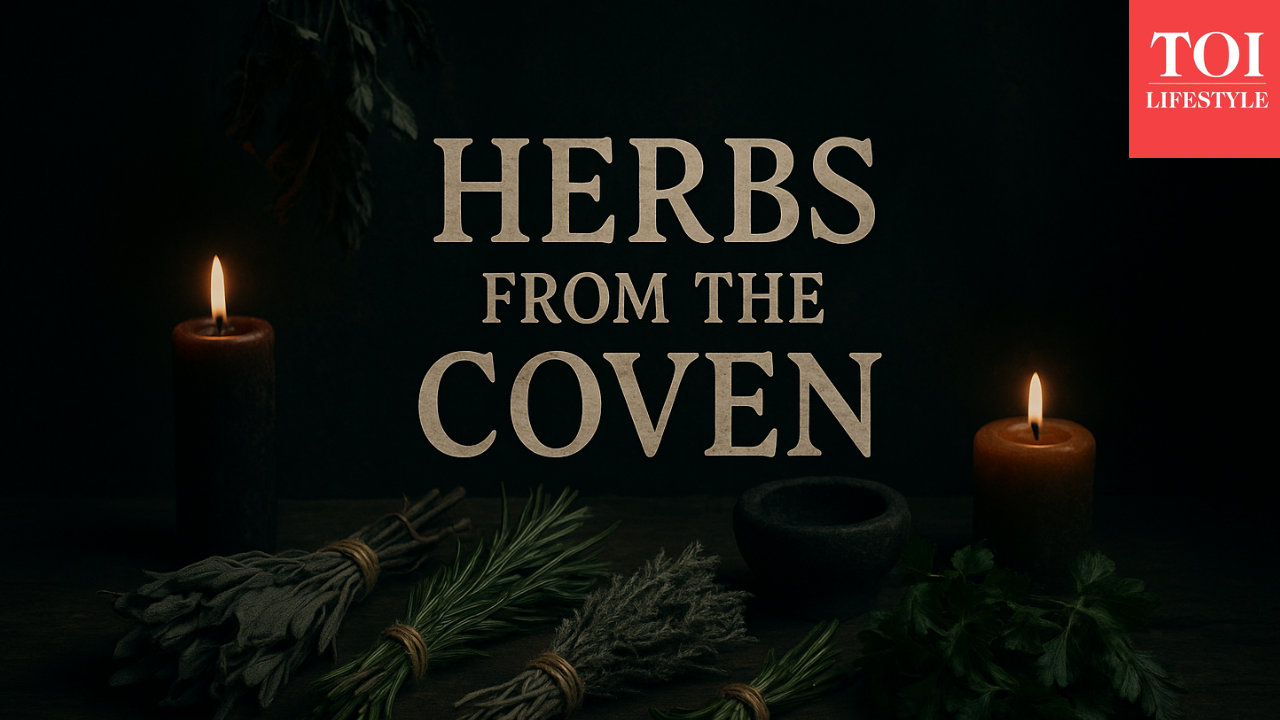 The Witch’s Pantry: Real herbs once used in dark rituals (and now in ...