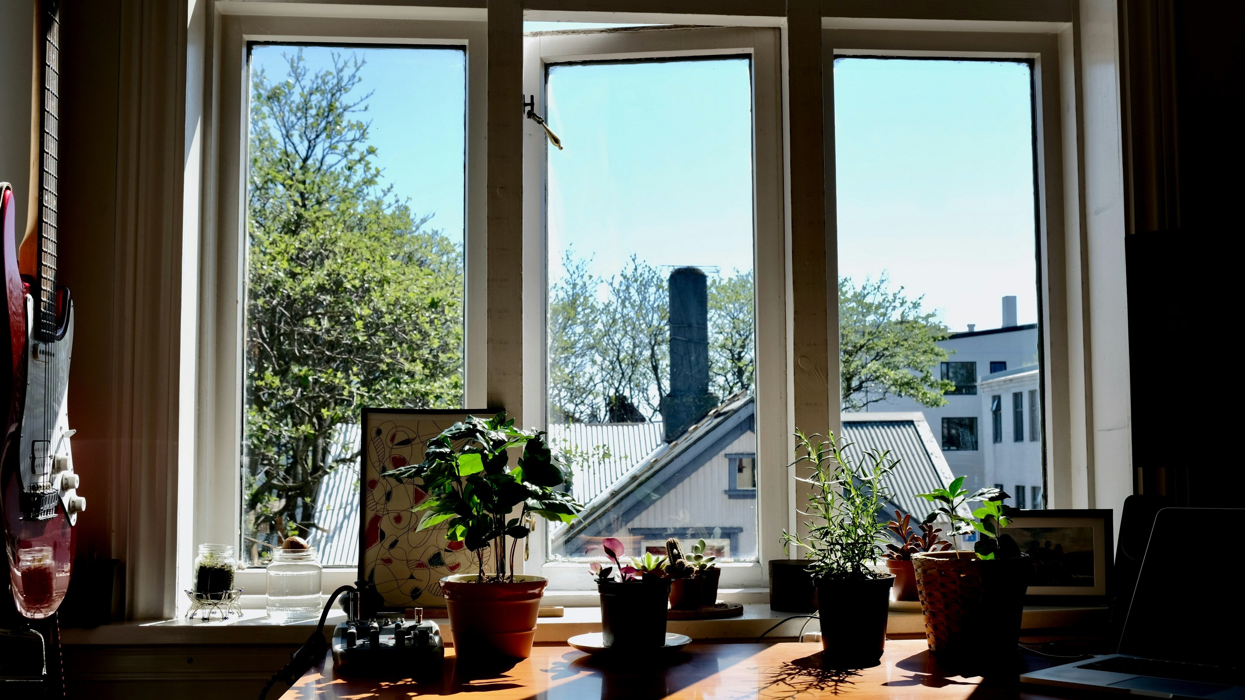 Can You Get Enough Vitamin D Through A Window?