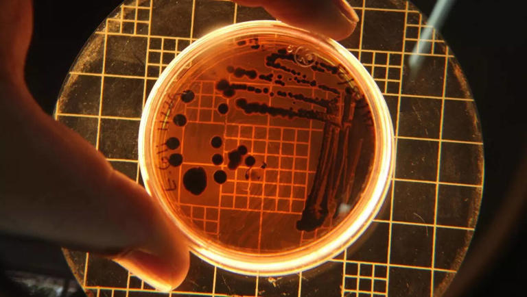 Hidden life beneath our feet: How deep-Earth microbes might be ...