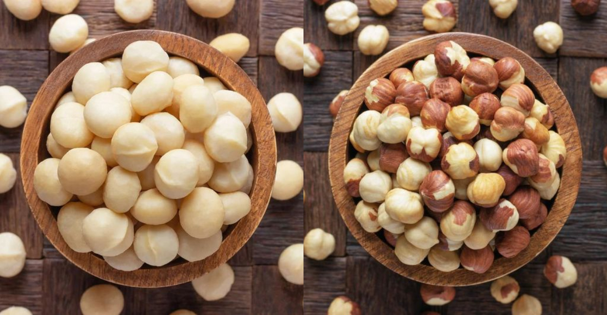 The Difference Between Macadamia Nuts And Hazelnuts