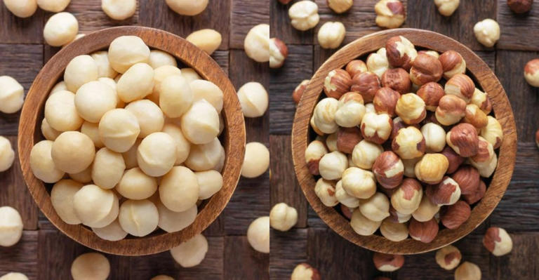 The Difference Between Macadamia Nuts And Hazelnuts