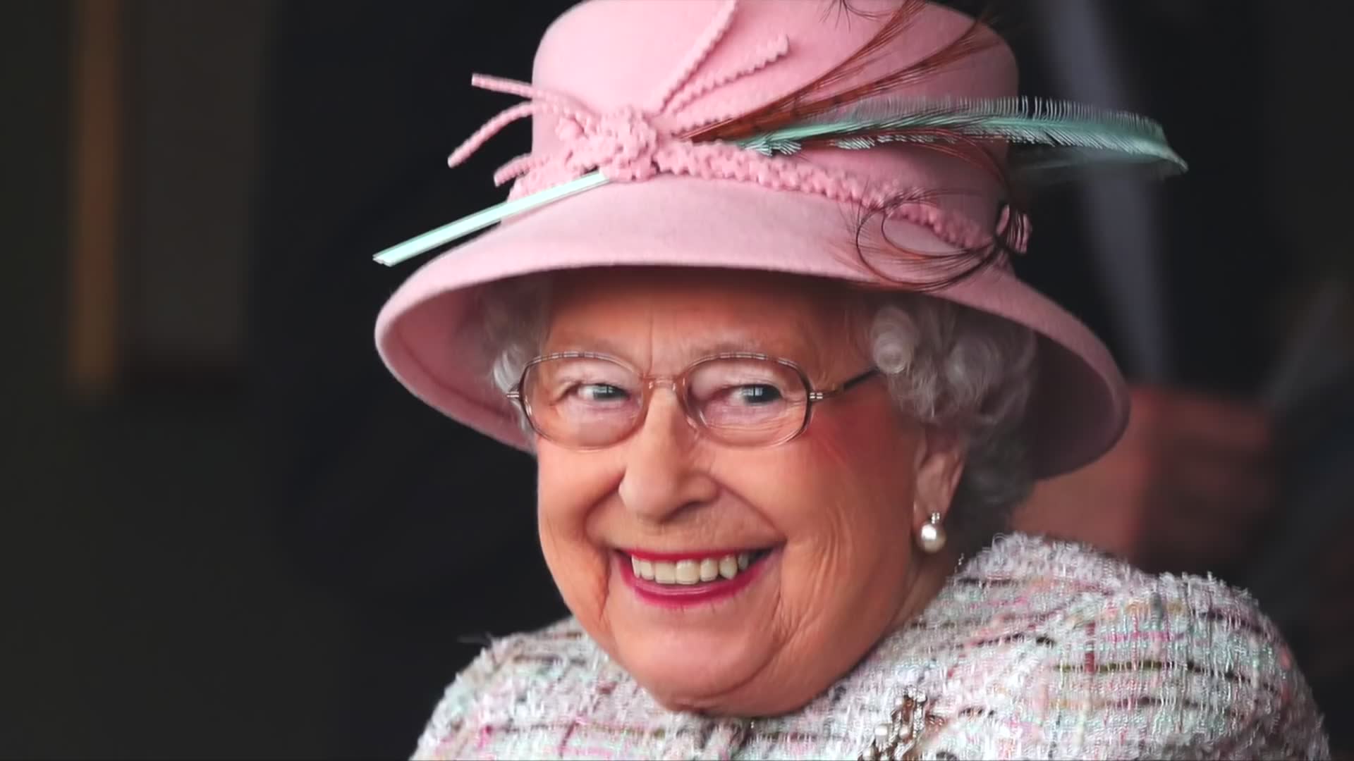 Mega-sized king cobra ranked among most dangerous