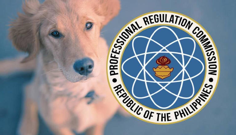 CLSU grad tops veterinarians computer-based licensure exam