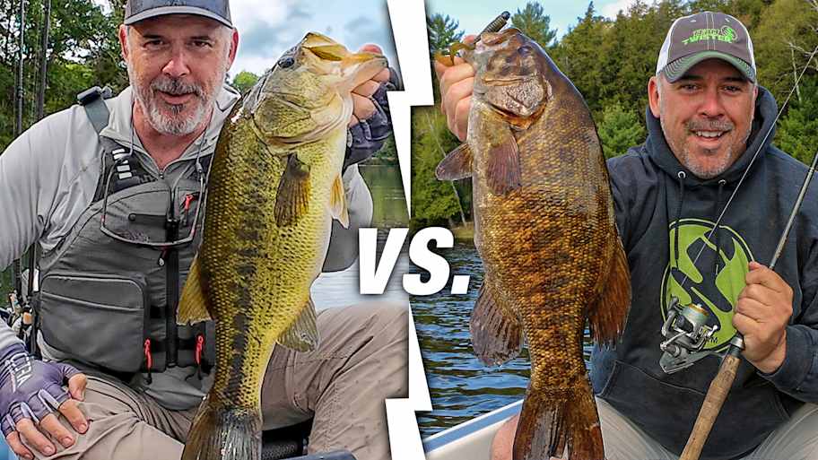 Largemouth vs. Smallmouth: Which Bass is Best?