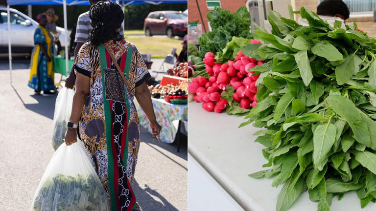 Lenga lenga takes root as Iowa's next superfood