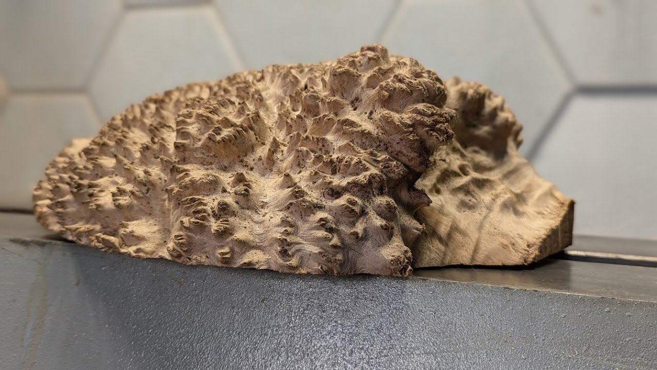 This spiky chunk of wood hides a surprise inside
