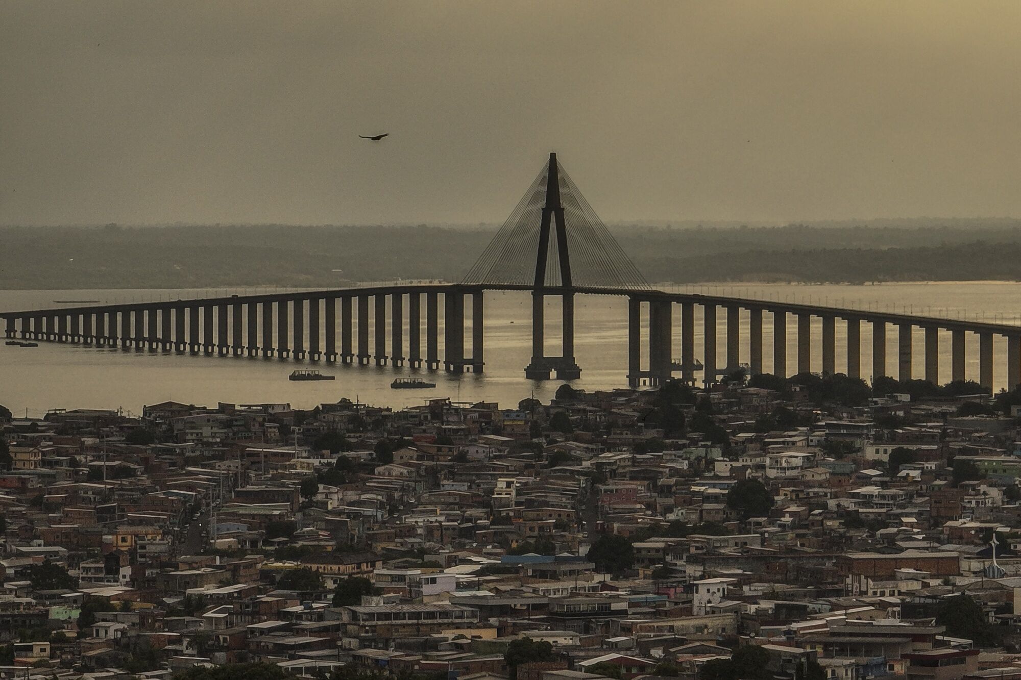 Cocaine Worth $1.8 Billion Seized in Brazil Risks Angering Trump