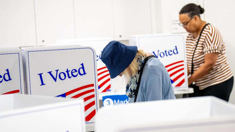 Why Do We Vote in November?