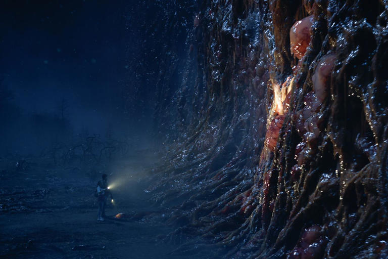 What is the Upside Down? “Stranger Things 5” finally answers series ...