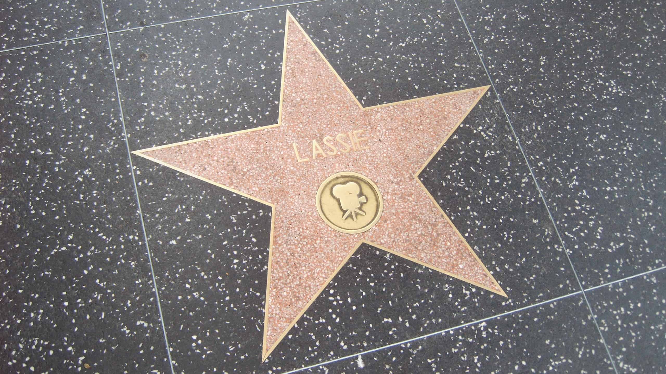 Real and Fictional Animals That Have Stars on Hollywood’s Walk of Fame