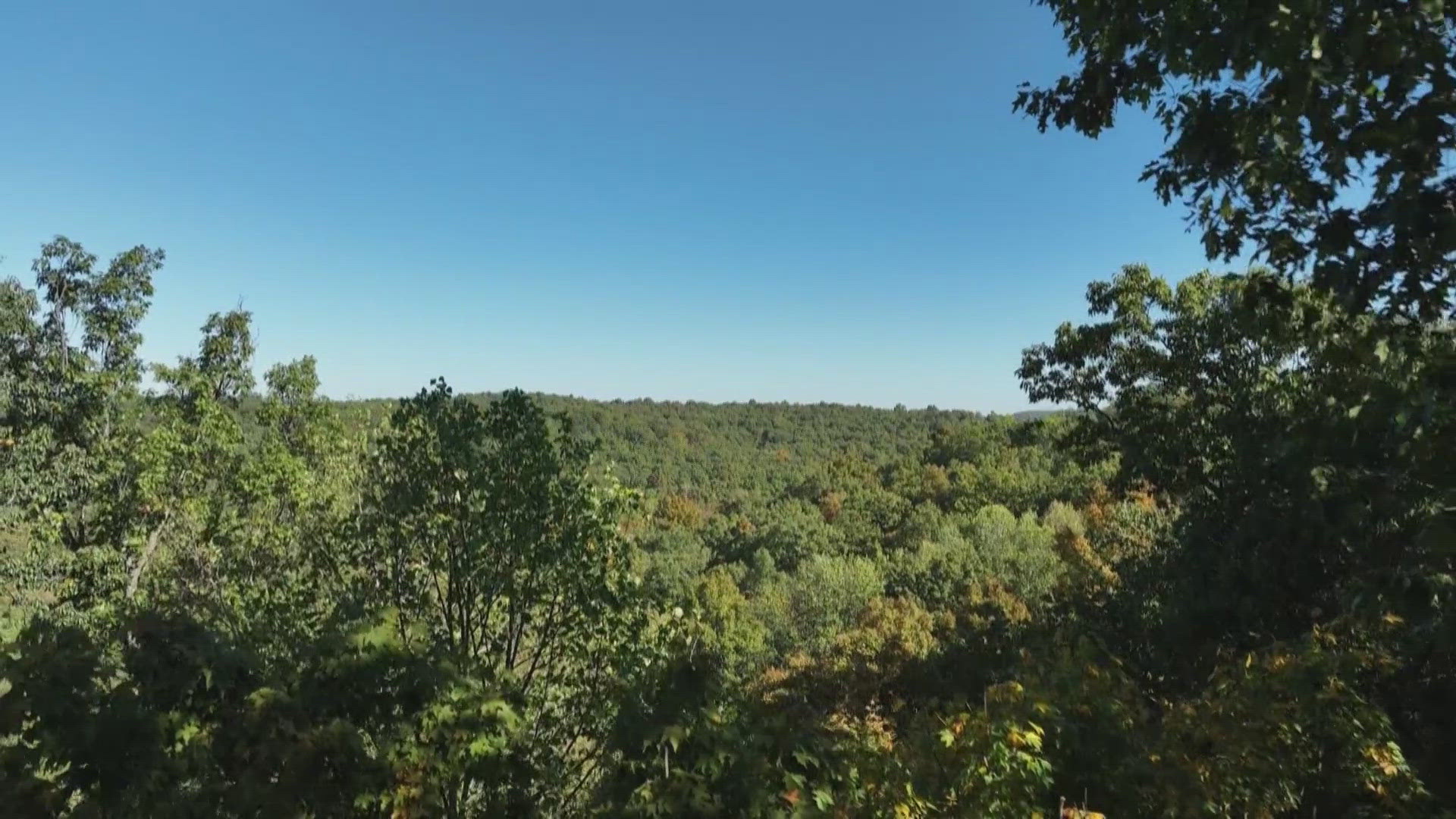 Bernheim Forest celebrates fall with annual Colorfest