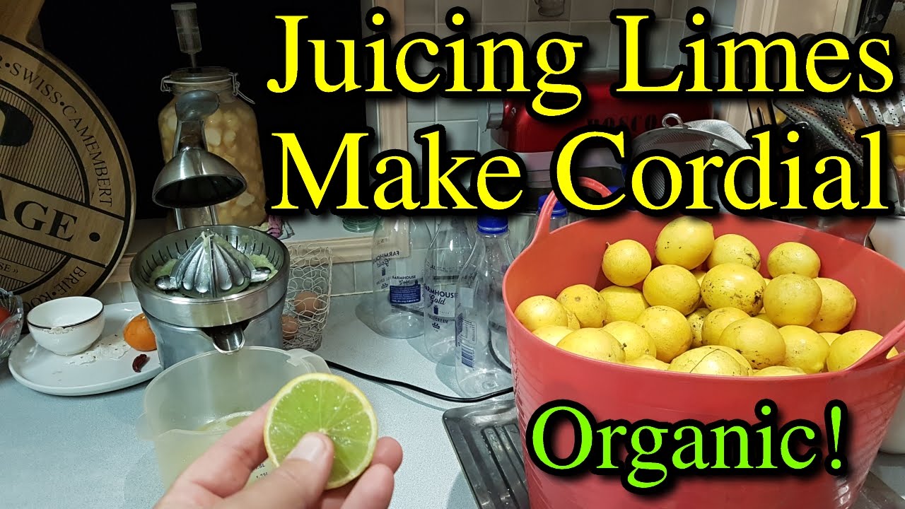 Juicing a ton of limes to make cordial best citrus juicer vlog #5