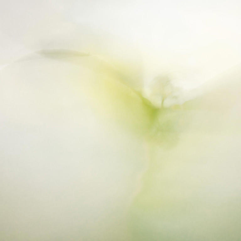 Morpeth Camera Club big event