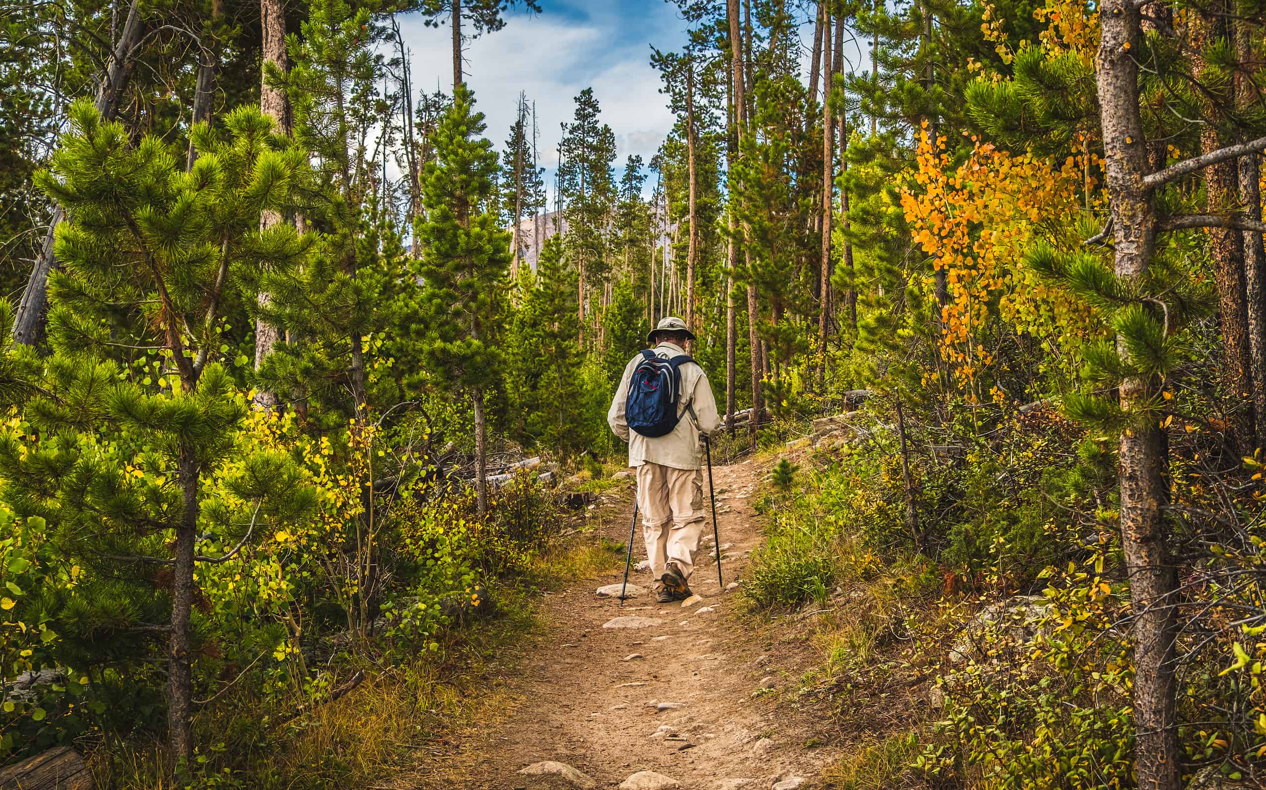 Heading Outdoors? Beware of Bobcats in These U.S. States