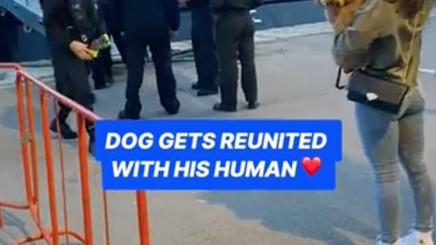 Excited dog can't wait to reunite with his human