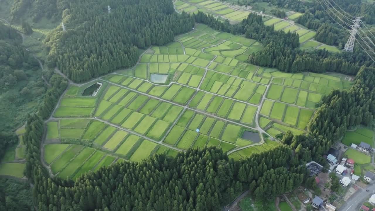 Flying Over Japan: A Journey Through Tranquil Beauty...