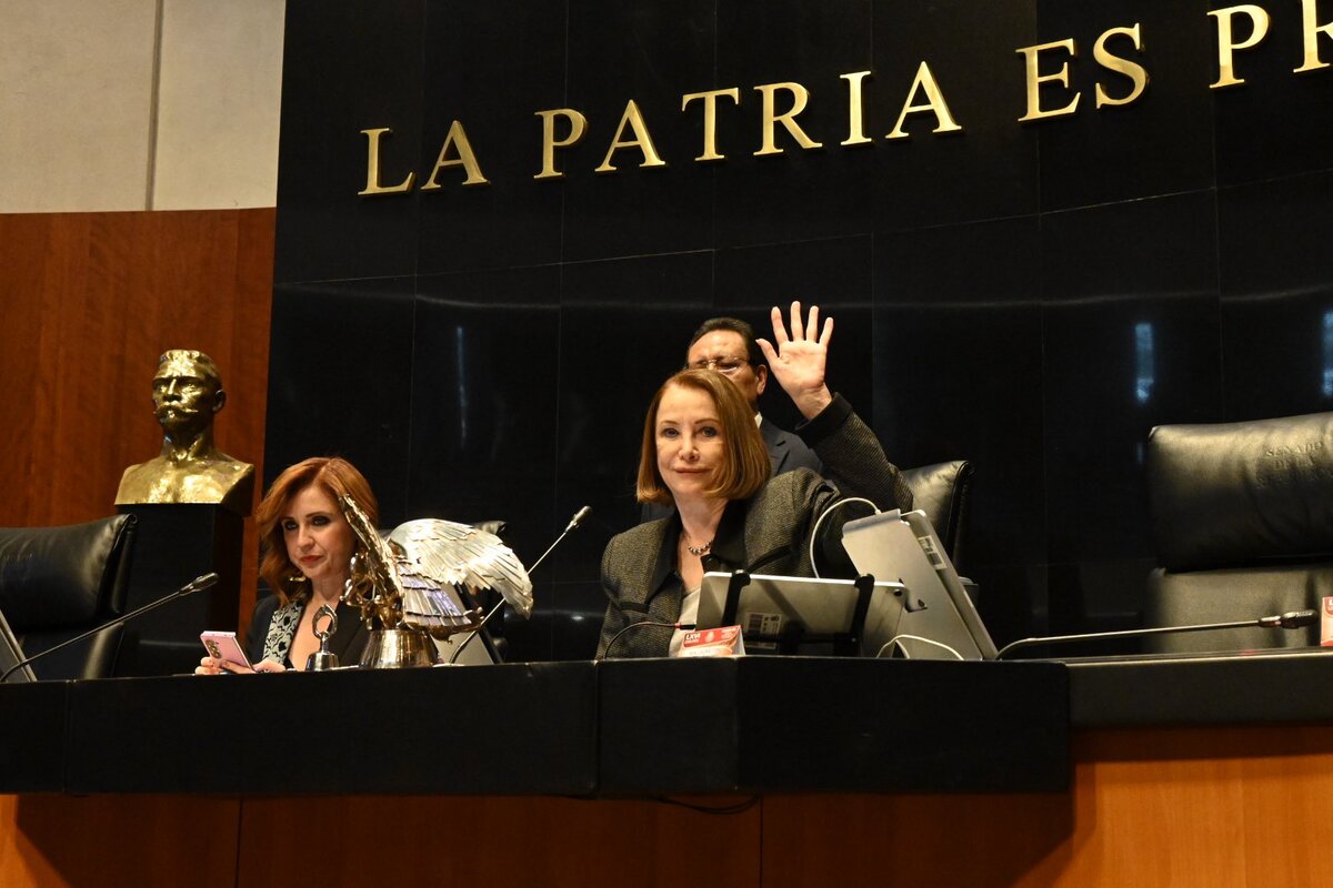 Senado realizará “trabajo a distancia” el jueves por Mundial 2026 ...