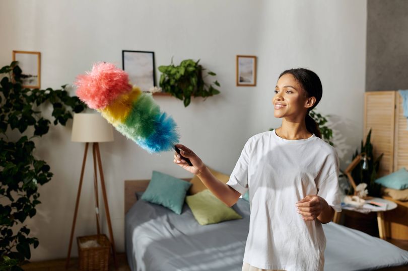 Banish dust from your home effectively with cleaner's easy method