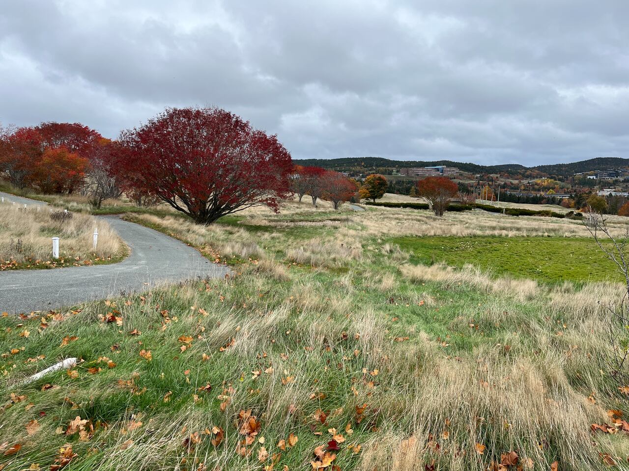 Draft plan emerges for massive development at former St. John's golf course