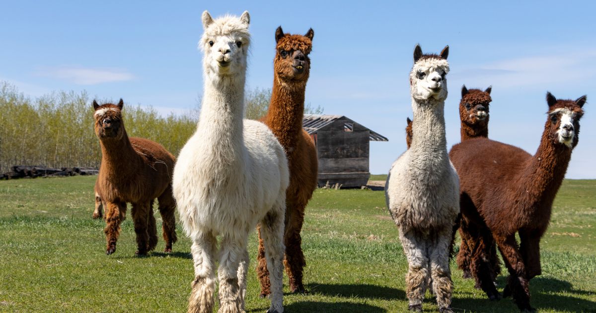 13 Quirky Facts About Oregon That Sound Fake but Are 100% True