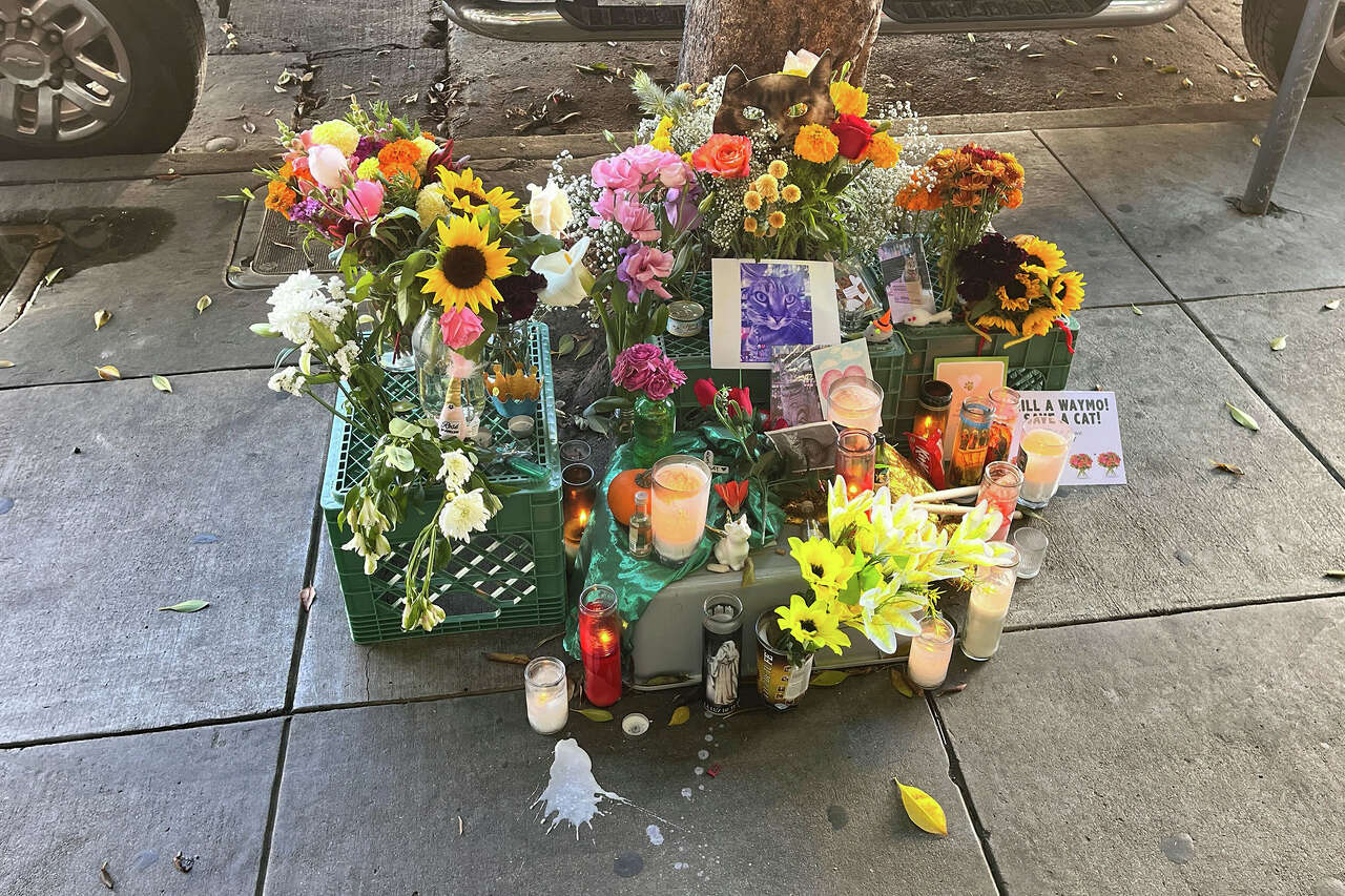SF neighborhood mourns loss of bodega cat allegedly killed by Waymo