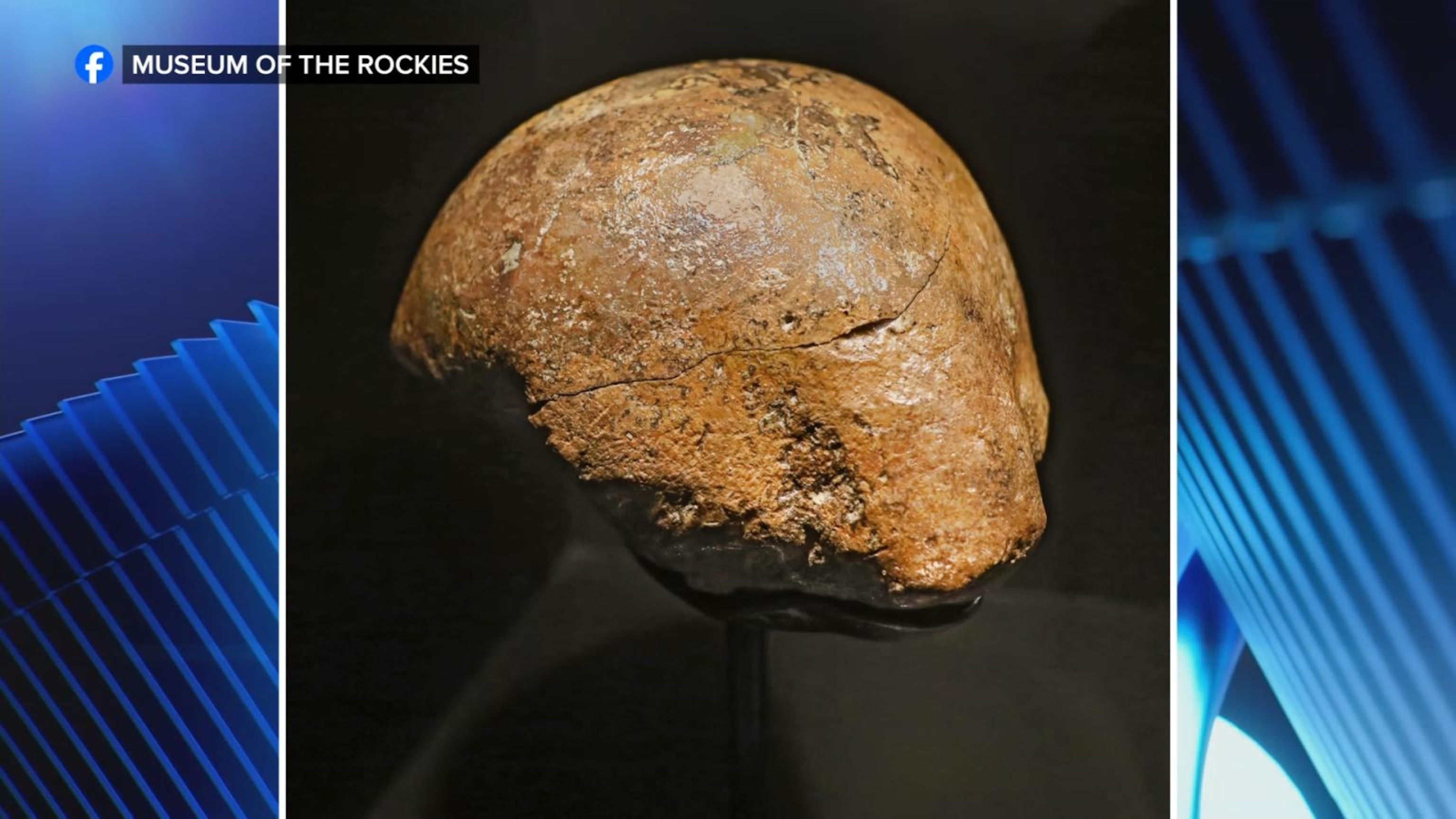 New species of dinosaur discovered at US landmark