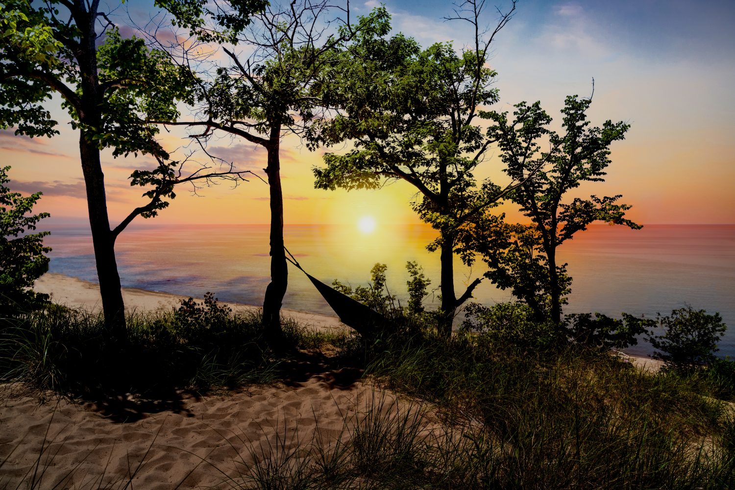 The Animals of Indiana Dunes National Park