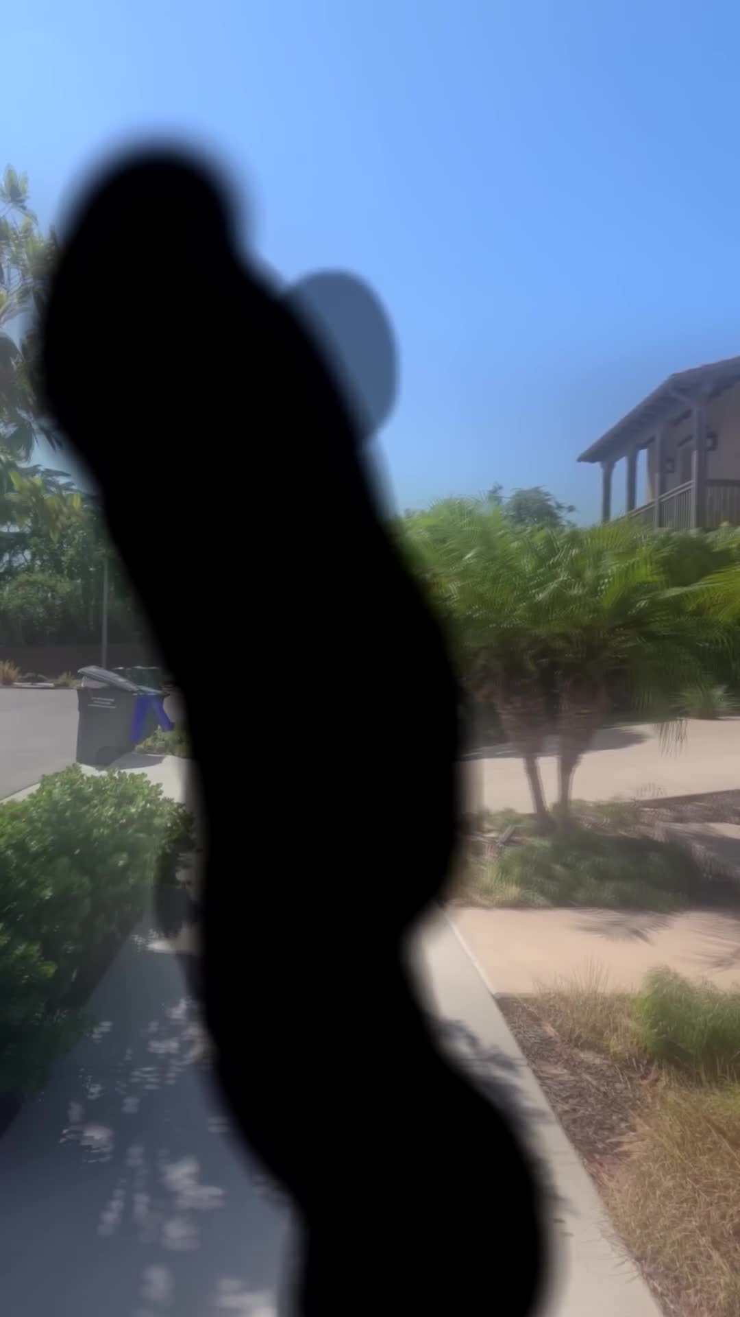 What does it look like to go blind?