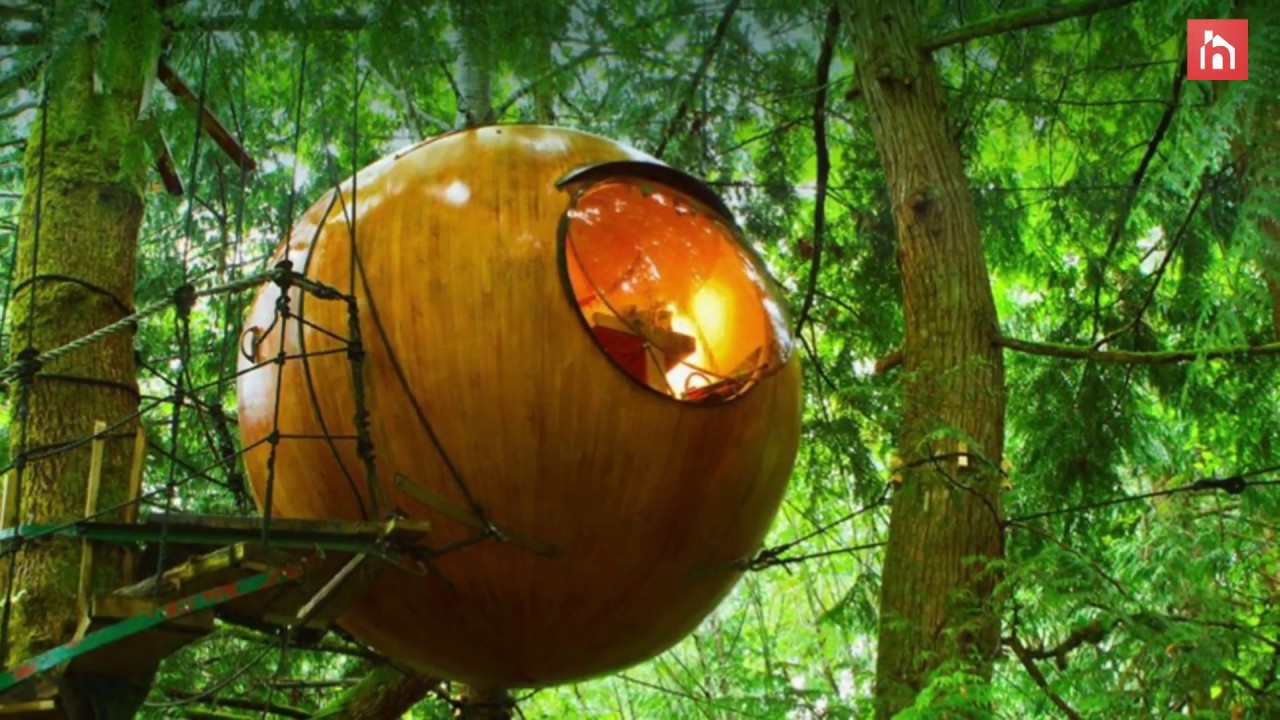 Treehouse hotels: Luxury rooms with a bird’s eye view