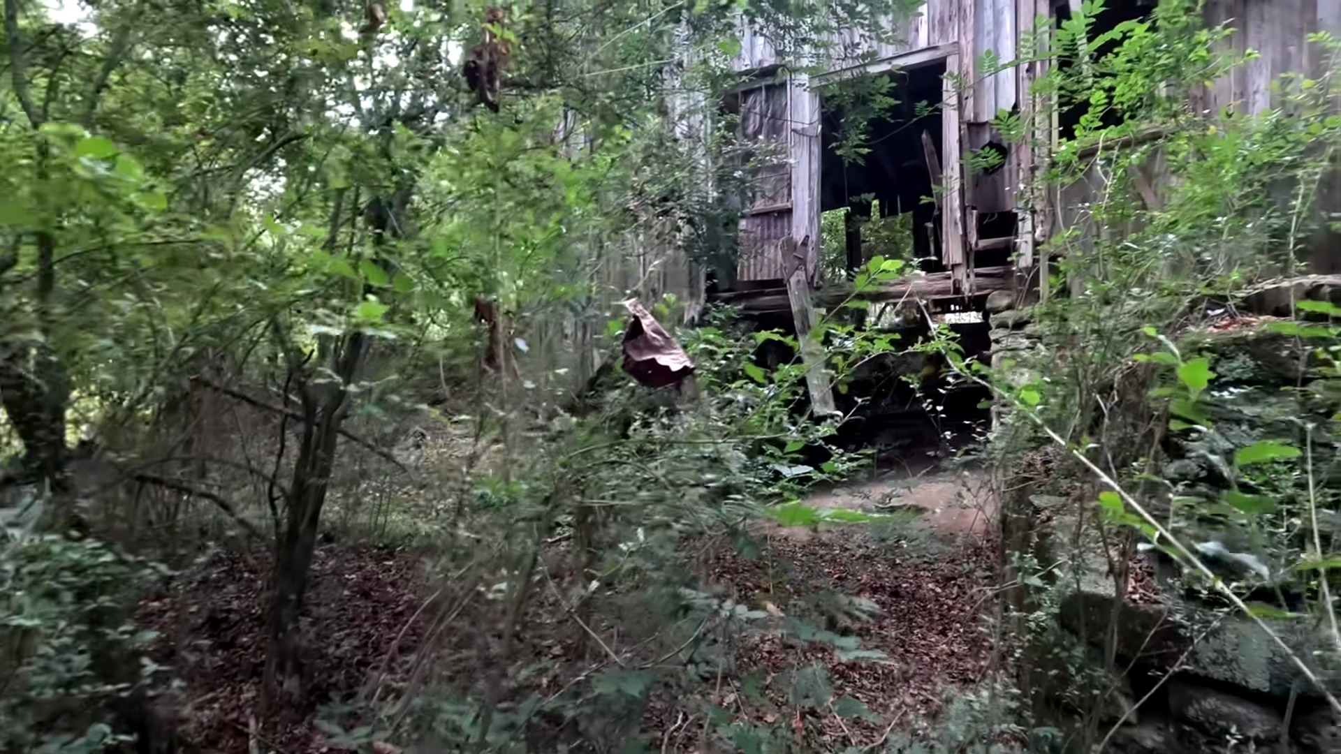 POV: You Wander Into an 1830s Town That Time Misplaced