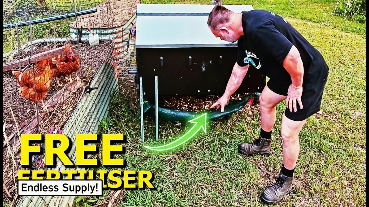 A nappy for the chicken tractor to collect the manure