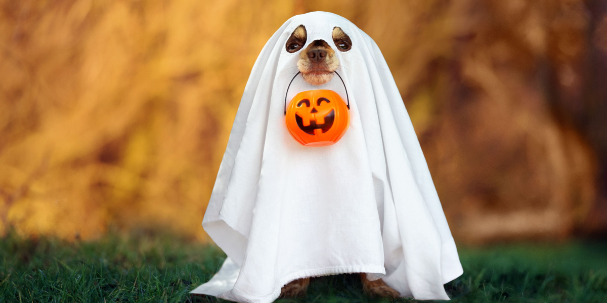 Zombies exist in nature — and 4 other fascinating facts to impress your ...