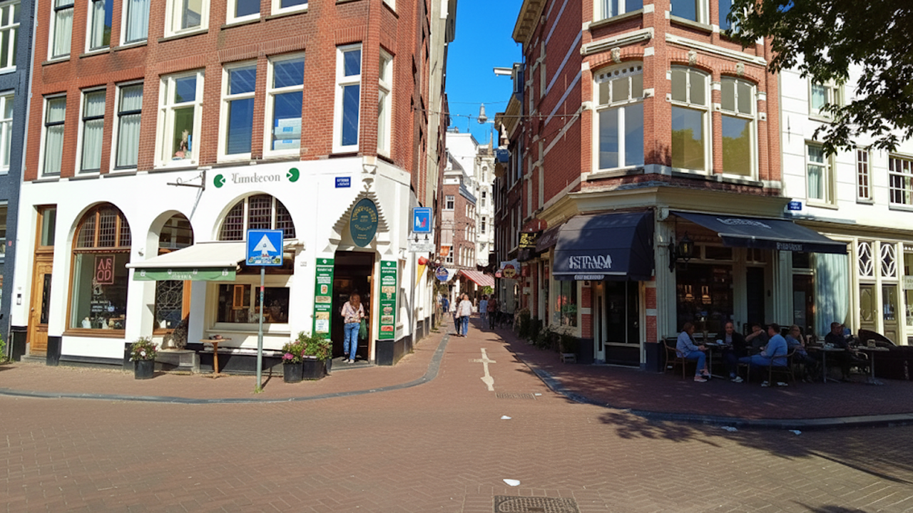 Amsterdam Walking Tour – Midday Streets and Canals Netherlands