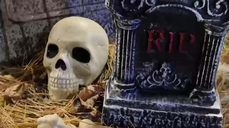 Last-minute Halloween savings by 7 On Your Side