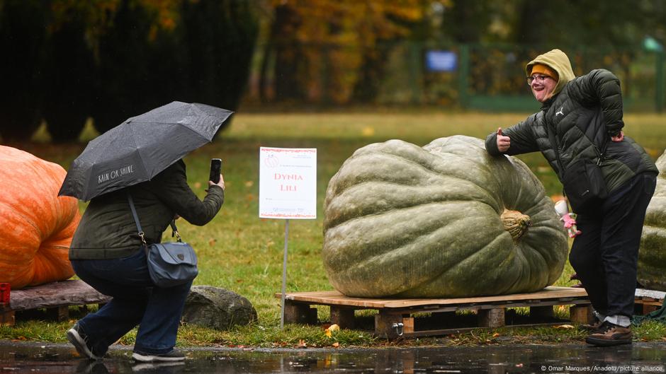 Huge, orange, ambitious: It's giant pumpkin season
