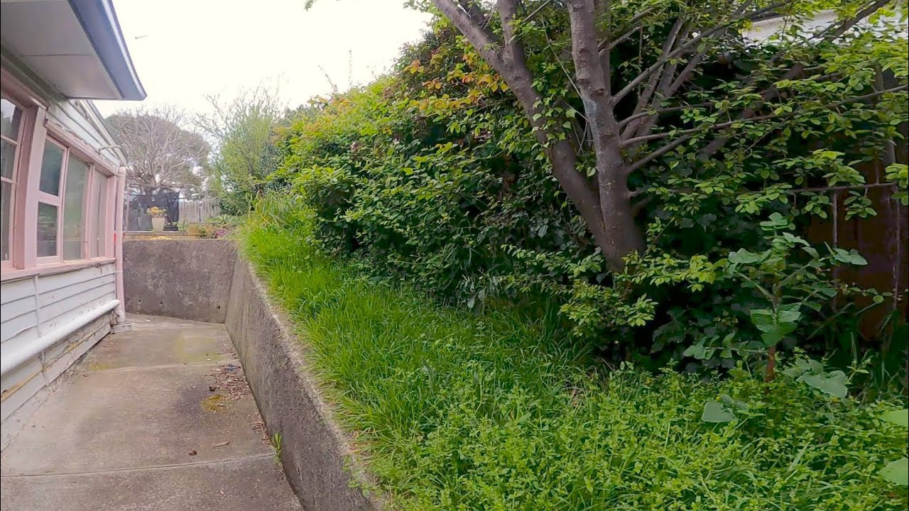 The big garden cleanup you have to see!