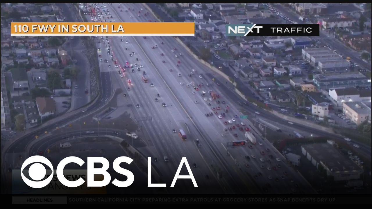 Pedestrian struck and killed on 110 Freeway in South Los Angeles
