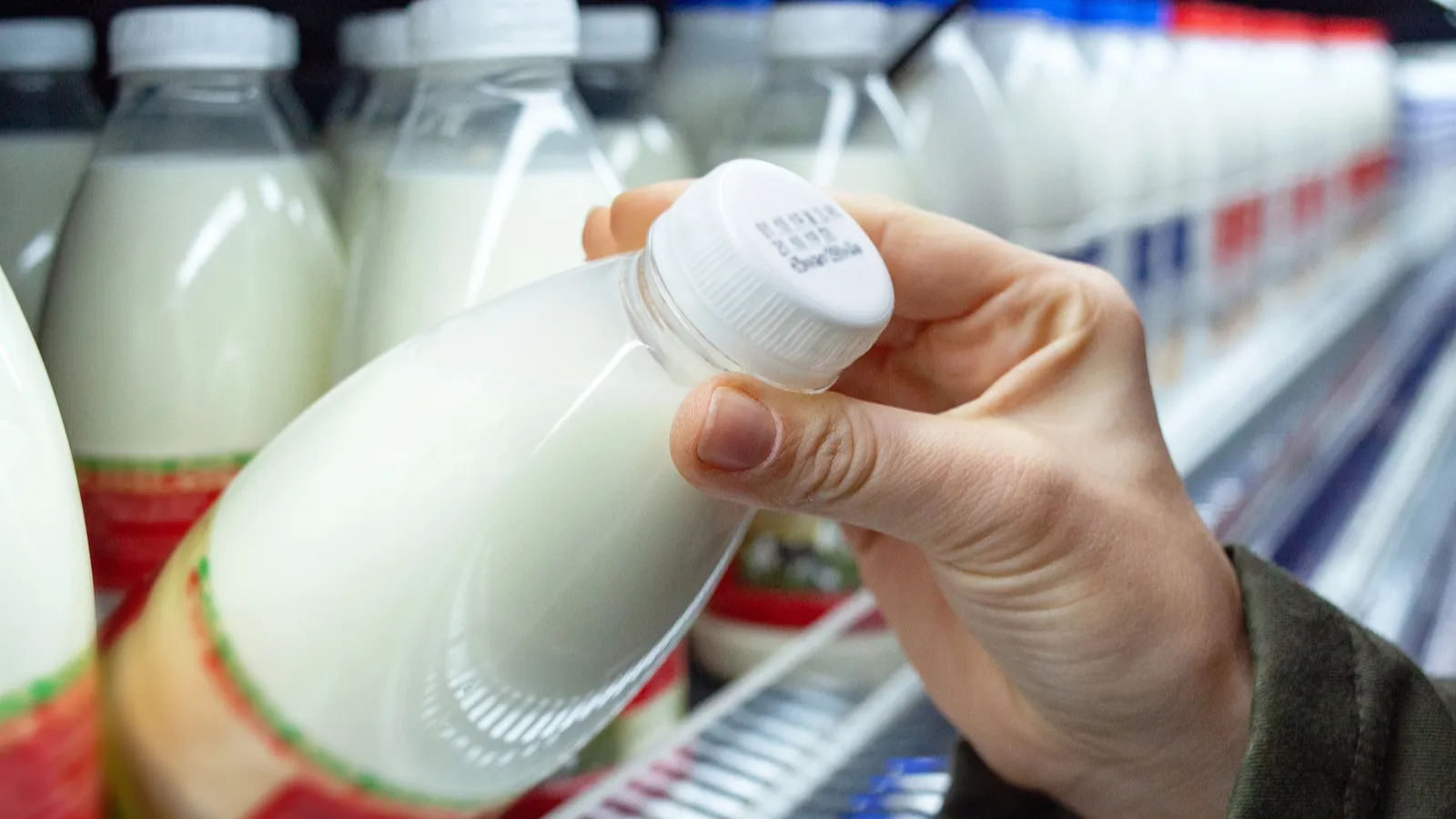 Understanding food expiry dates and labels