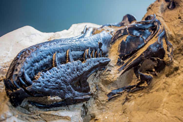Dinosaur skeleton settles long debate over 'tiny T. rex' fossils